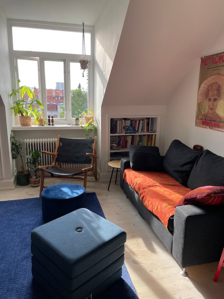 Cozycute Two Bedroom Apartment - Copenhaga