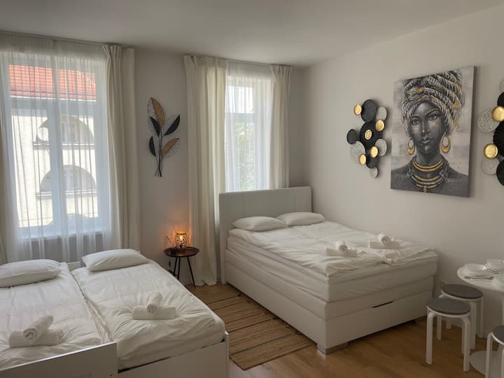Black Pearl - Just 15 Mit From City Center ! - Vienna