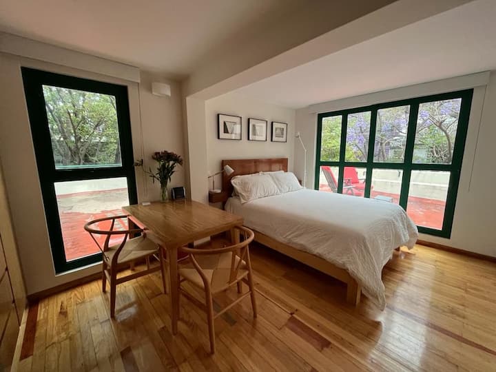 Sunny Rooftop Studio In Mexico City - Mexico City