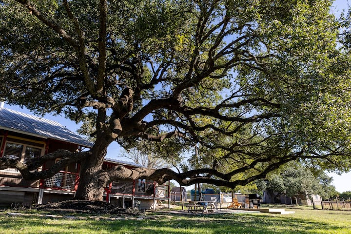 Twin Oaks Ranch (3 Houses) 9 Rooms, 15 Beds For 24 - Dripping Springs, TX