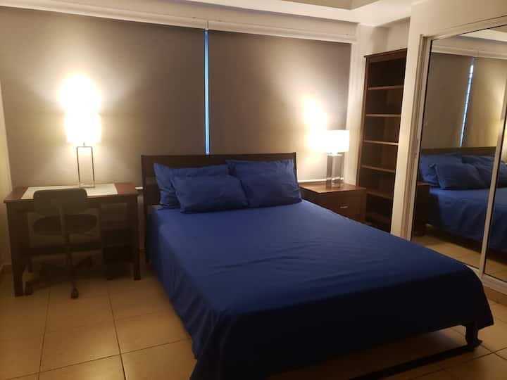 Beautiful And Cozy Apartment In Gazcue. - Santo Domingo