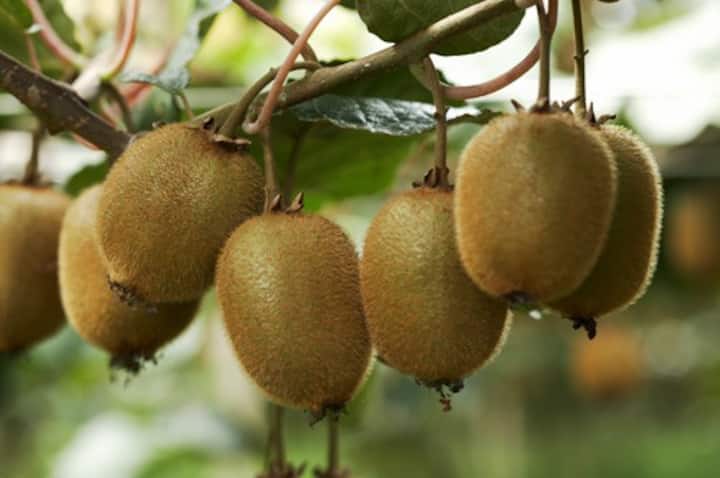 삼성병원 5분 거리, 편안한 쉼과 차 향기 머무는 다솜'S House - Séoul