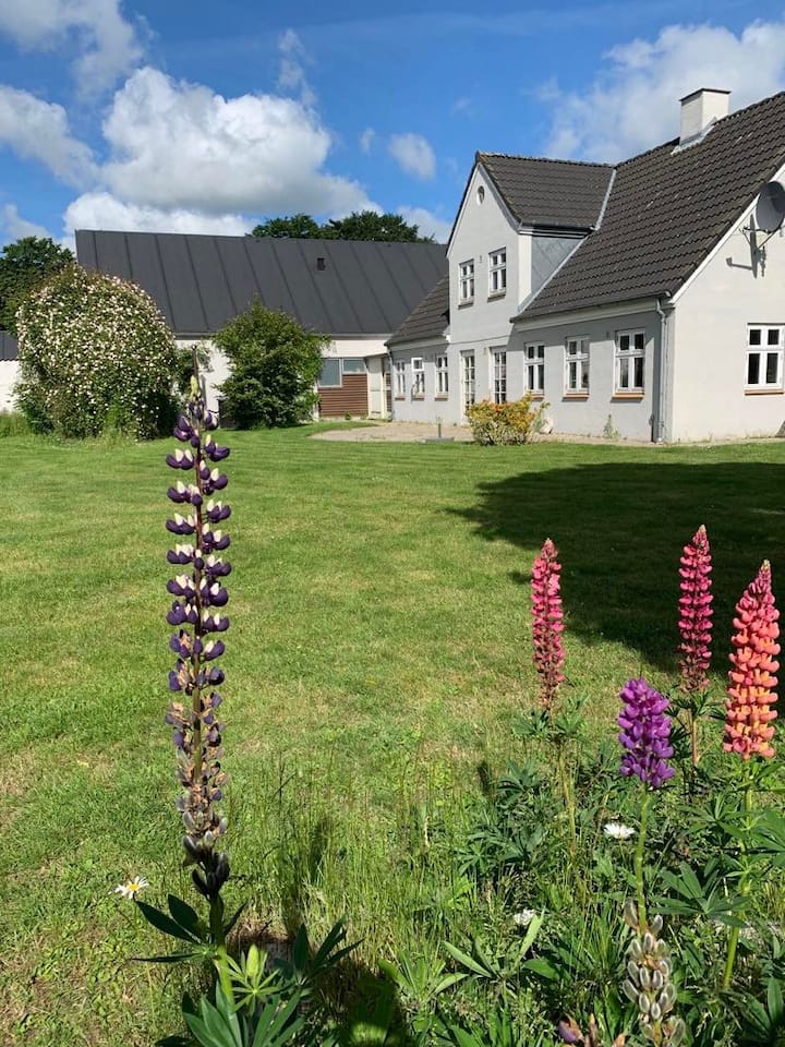 Vidunderlig Hus I Naturskønne Omgivelser - Ribe