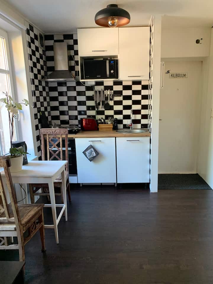 Quiet And Cosy Studio In Central Tallinn - Tallinn