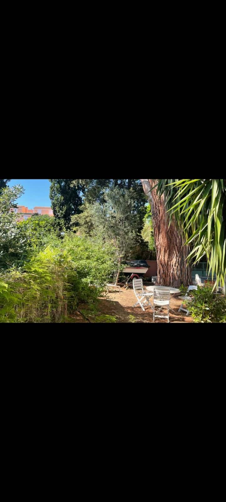 300 Ms Plage, Calme, Grand Studio, Terrasse, Pk - La Môle