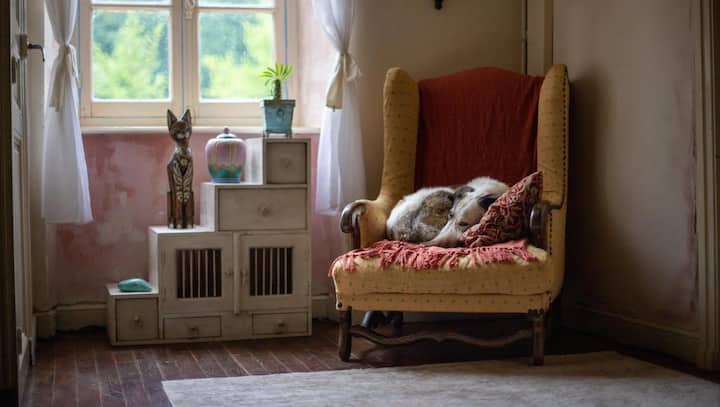 Les Contes Bed And Breakfast - Ariège