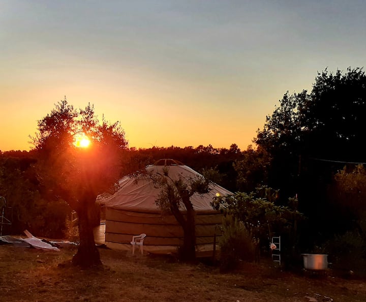 Yurta Con Bagno Esclusivo - Cecina