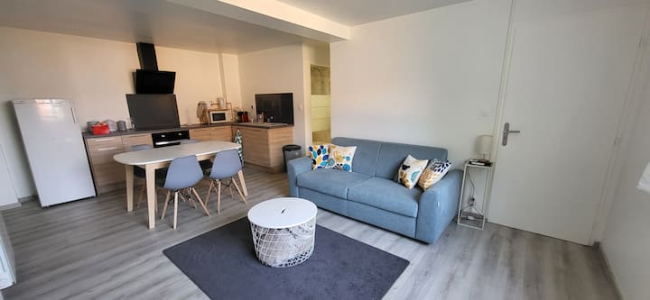 Appartement Entre Ville Et Nature - Dijon