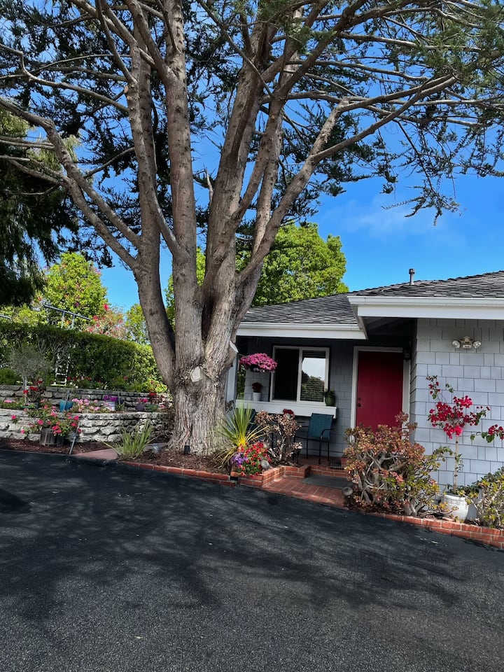 Cozy Cottage W/full Kitchen - Baywood-Los Osos