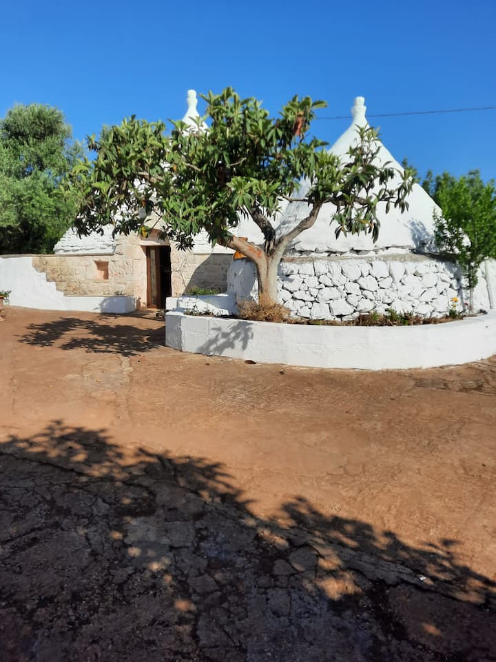 Trullo Antelmi - Ceglie Messapica