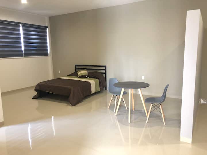 Nuevo Loft Cerca De La Mejor Zona - Leon