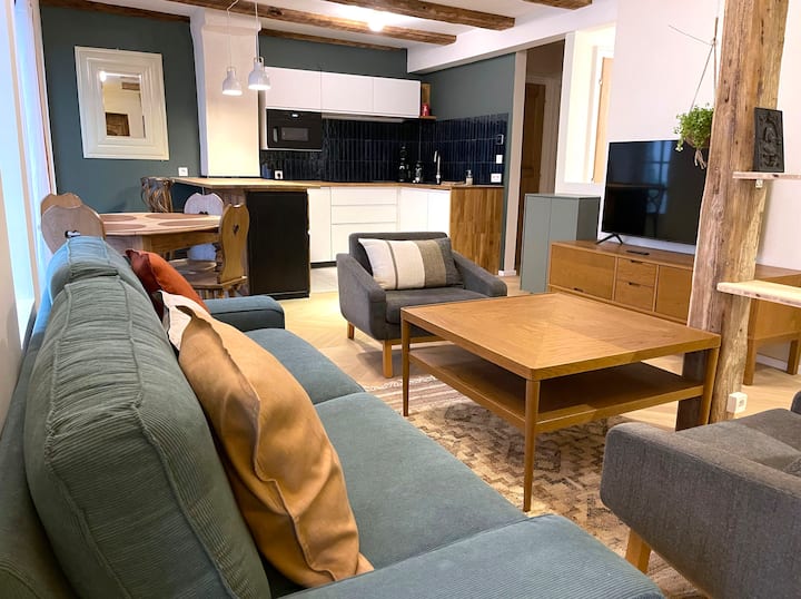 Rivière Colmar Centre Historique / Garage - Colmar