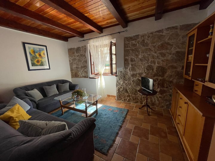 Harry's House - Murter