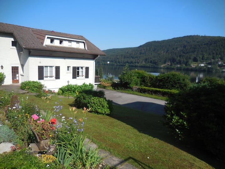 3 Charmant Appartement Dans La Verdure, Face Lac - Gérardmer