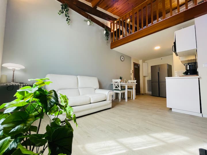 Appartement En Mezzanine Lumineux - Clim A/c - Bordeaux
