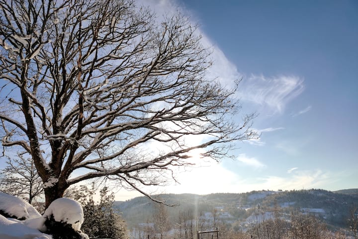 Chalet T3 - Calme Nature Et Vue - Proche Gérardmer - Vosges