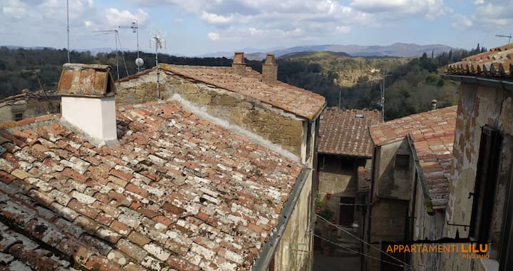 Appartamento Liliana - Caratteristico A Pitigliano - Pitigliano