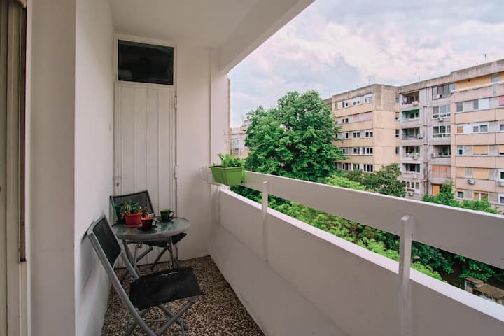 Populus - Novi Sad