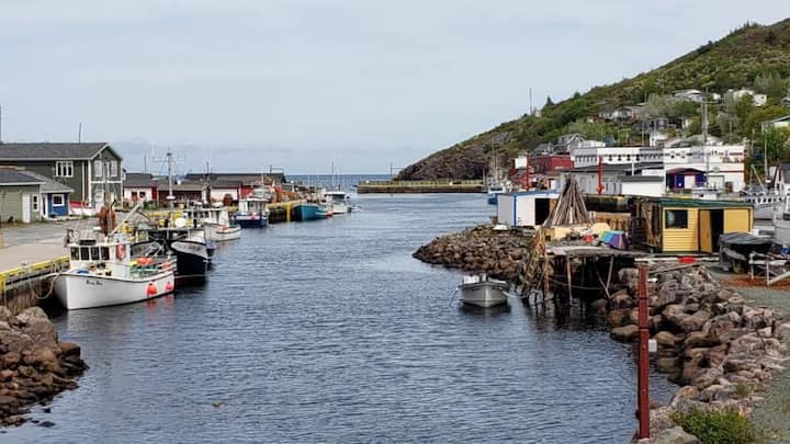 Cozy Harbour-view Home - Saint John's