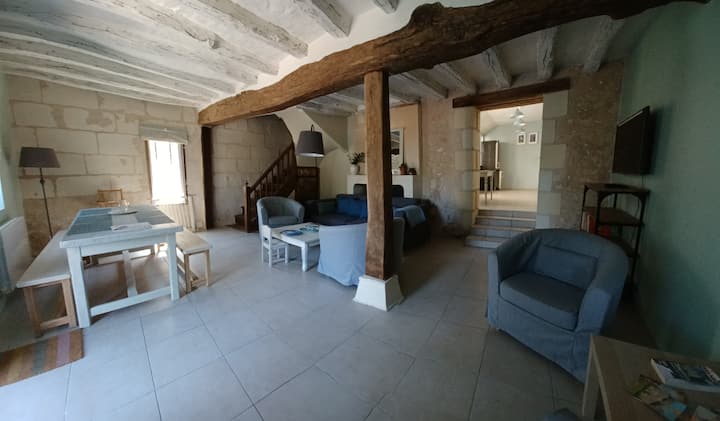 Au Pied Du Château Et à 4 Km Du Zoo De Beauval. - ZooParc de Beauval