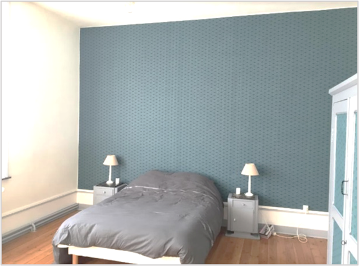 Grande Chambre Avec Douche Dans Maison Historique - Arras