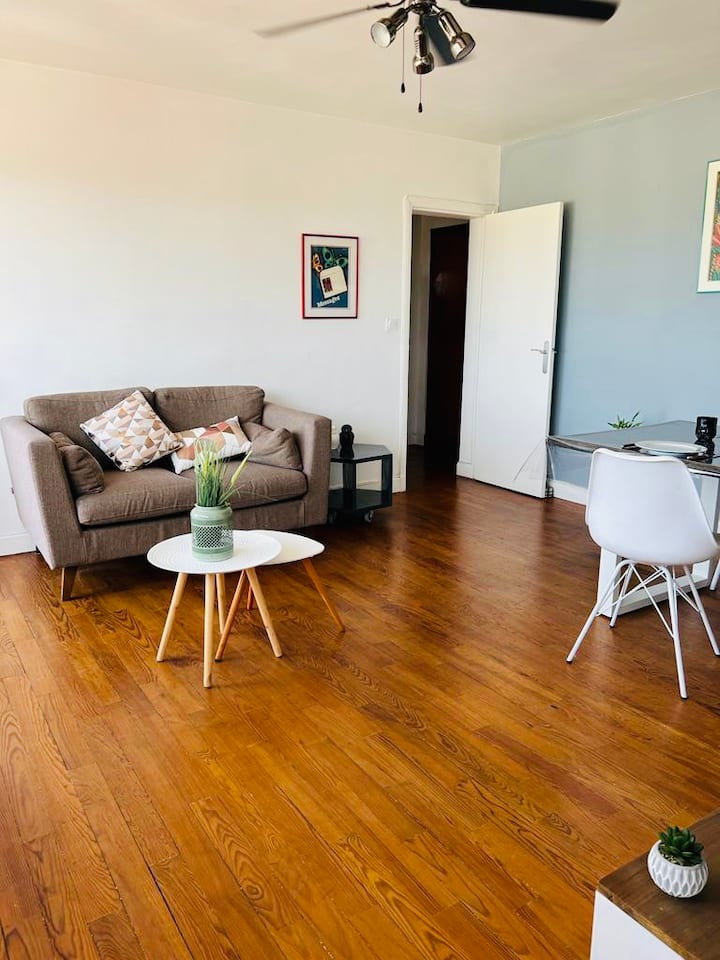 Albi : Superbe Appartement Idéalement Situé. - Albi
