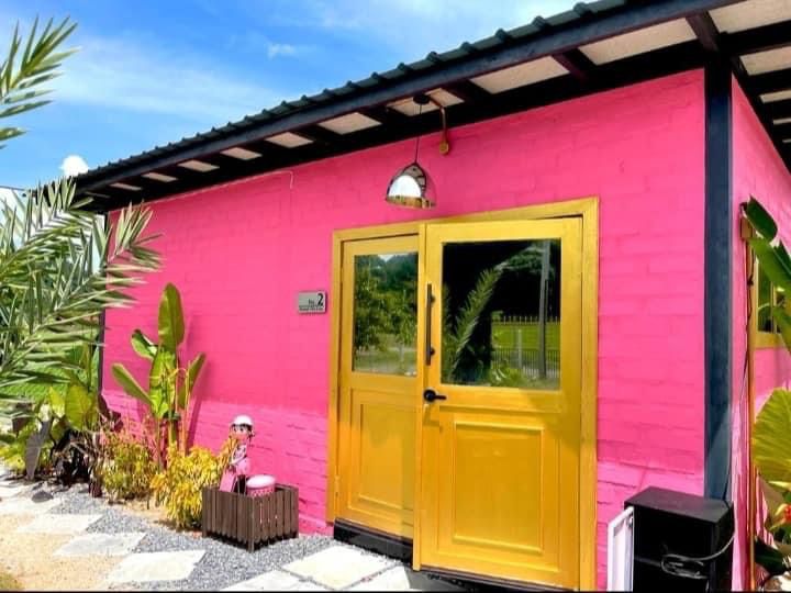 PENGINAPAN KEBUN MANGGA HARUMANIS WAN PA (CHE LIAN) - Rumah untuk ...