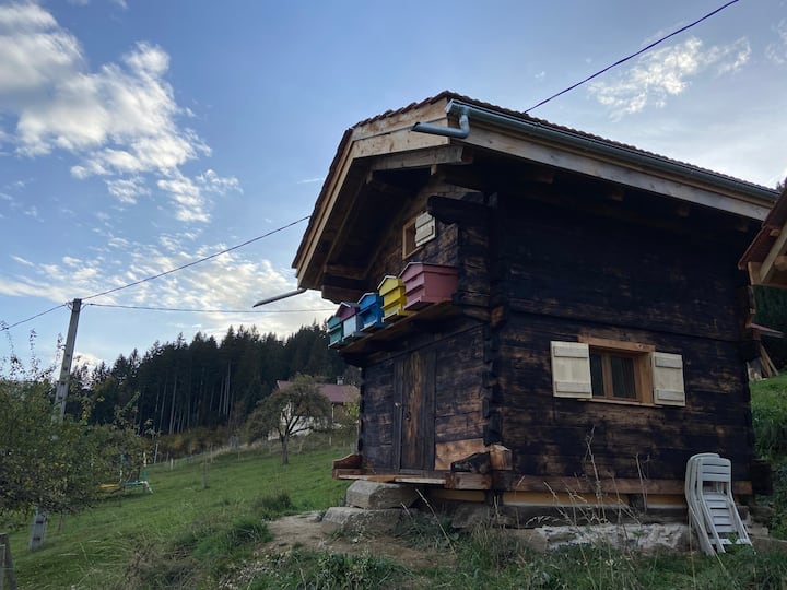 Grenier Savoyard Face Au Mont Blanc - Cordon
