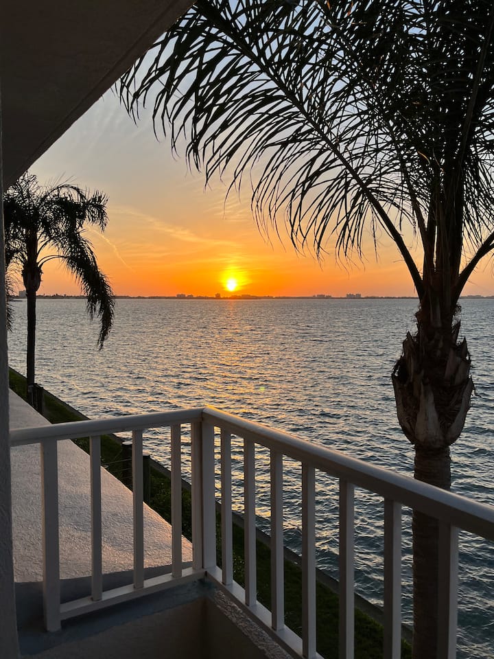 St. Petersburg Condo With Beautiful Water Views. - St. Petersburg, FL