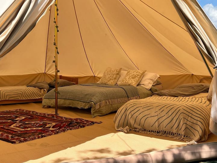 Gwennol Bell Tent - Spacious, 6m Tent - Haverfordwest