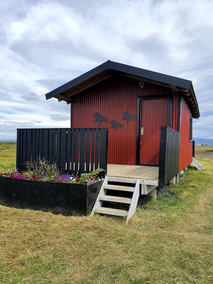 Beautiful Little Country Cottage. - Islande