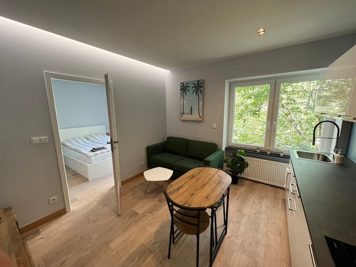 A Charming Apartment In The Very Center - Wroclaw (Breslavia)