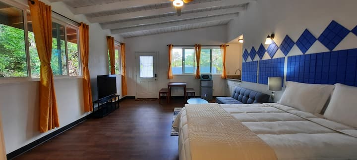 The Indigo House: Gecko Unit - Hawaii