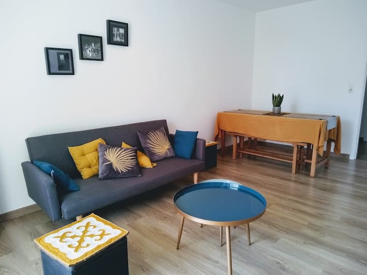 Appartement Spacieux Entre Centre Ville Et Plages - Montpellier