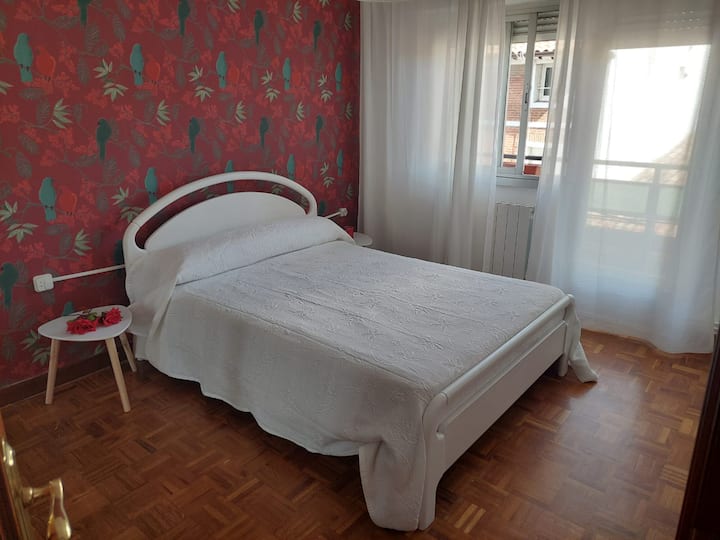 Bonito Apartamento En El Centro De Haro. - Haro