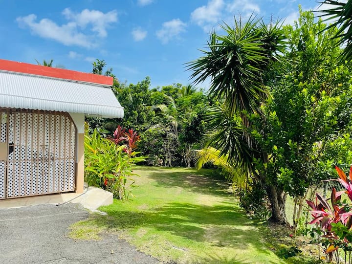 Luquillo Beach, Balneario Beach And El Yunque - Puerto Rico