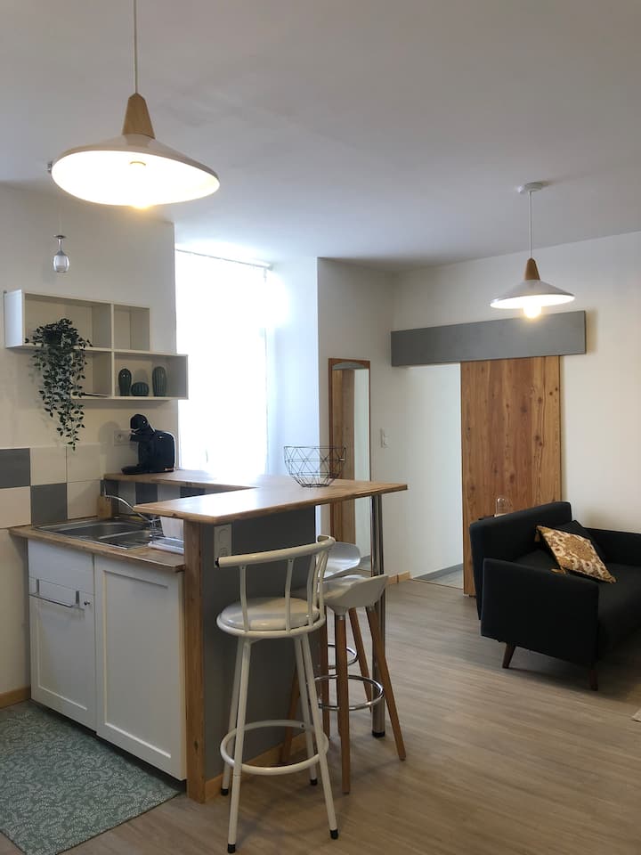 Millau: Superbe Appartement Avec Grande Terrasse - Millau