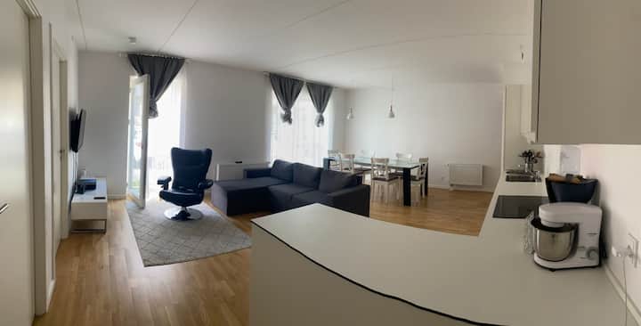 We Offer For Rent Our Wonderful Apartment - Århus