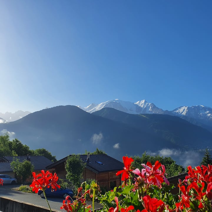 Chalet Avec Vue Mont Blanc - Combloux