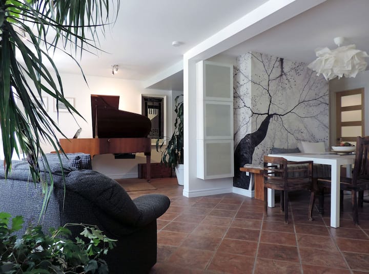 Charmant Condo Tout éQuipé, Au Centre-ville - Quebec City