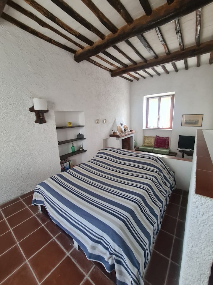 Ampio Monolocale Con Rifiniture Rustiche - Marciana Marina