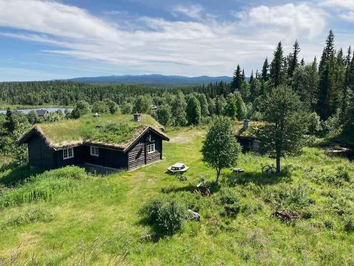 Idyllisk Feriested! - Gol