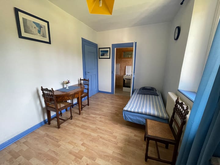 Studio Très Calme Donnant Sur Le Jardin - Schirmeck