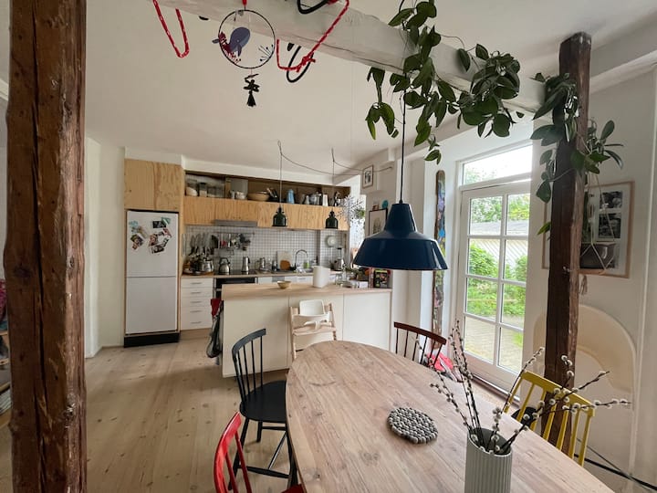 Charmerende Lejlighed I Hjertet Af Nørrebro - Copenhague