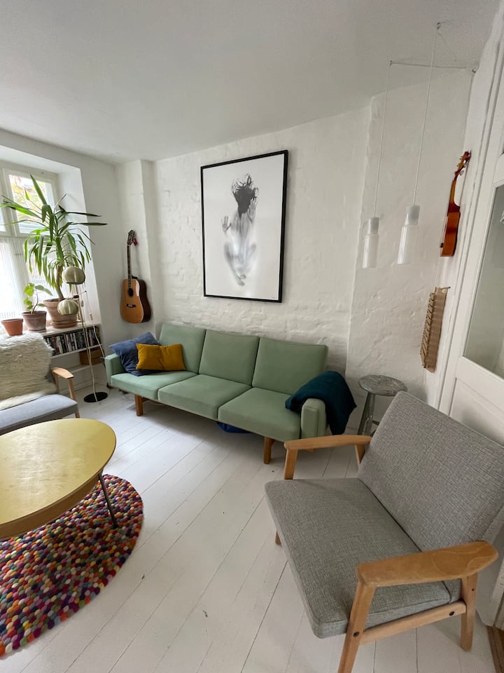 Charmerende Lejlighed I Hjertet Af Nørrebro - Copenhague