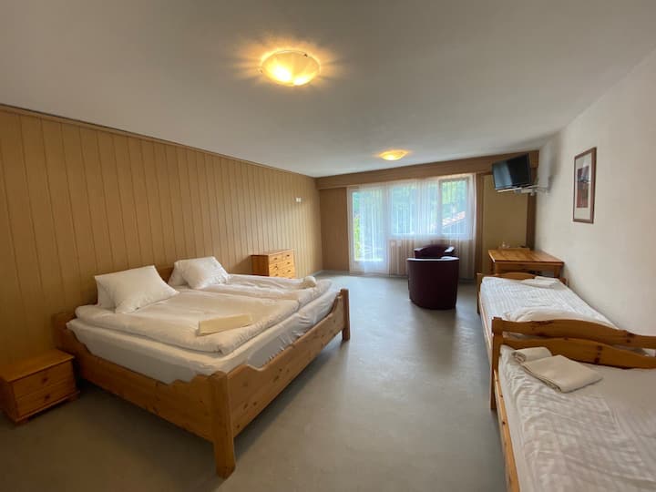 Entire Accommodation With Private Bathroom - Sankt Antönien