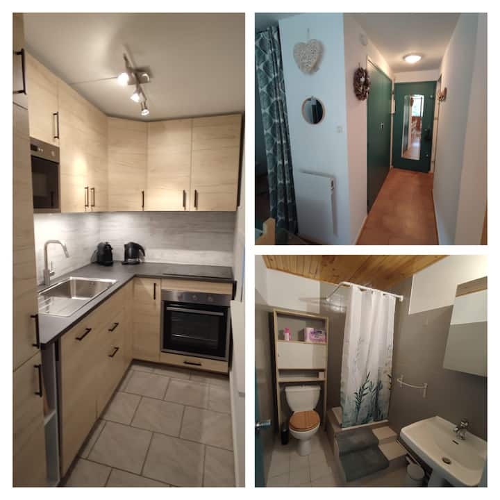 Studio 35m2 Pied De Piste Avec Balcon - Puy de Sancy