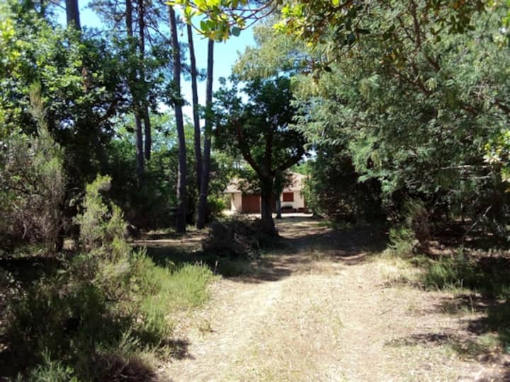 Maison De Famille Située Entre Océan Et Bassin - Lège-Cap-Ferret