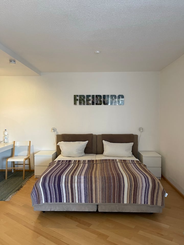 1 Zim.-apartment  In Der Nähe Von Uni. Und Hbf - Freiburg im Breisgau