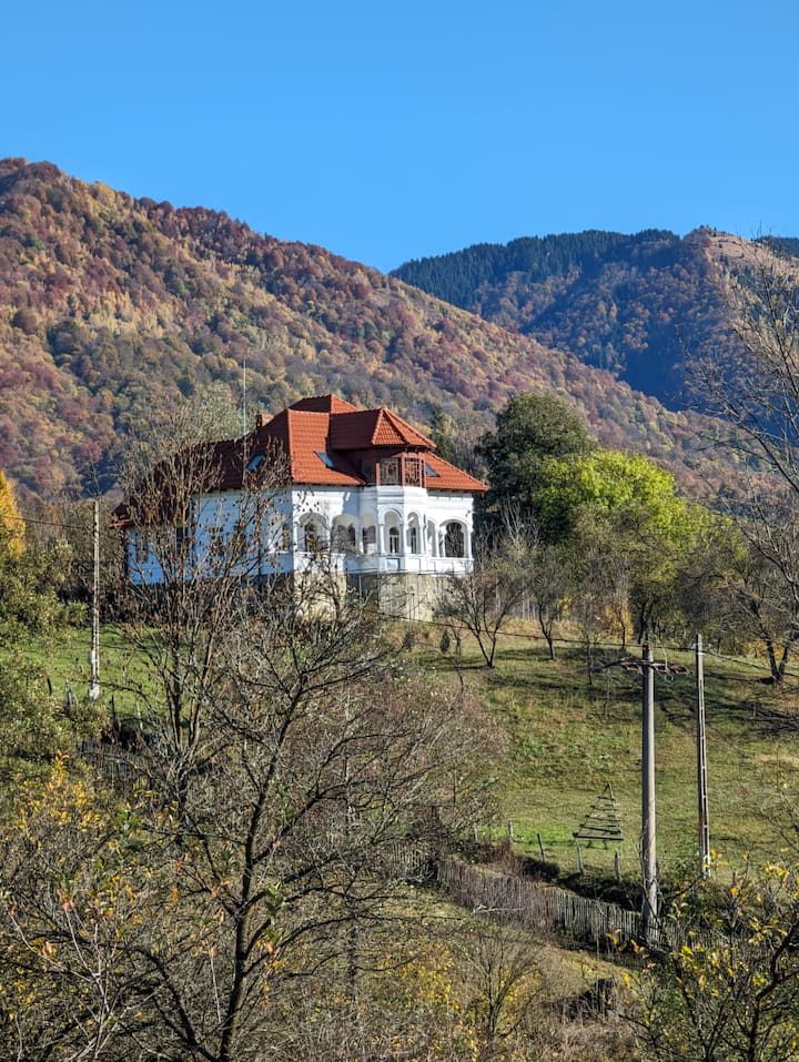 Manor In Mountain Village - Corbeni
